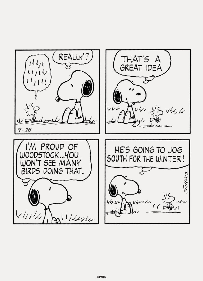 Q Timex Chronograph x Peanuts Snoopy 40mm Leather Strap Watch ...